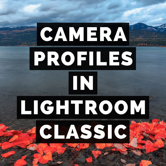 How To Use Camera Profiles In Adobe Photoshop Lightroom Classic