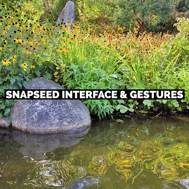 Snapseed From Google User Interface And Gestures