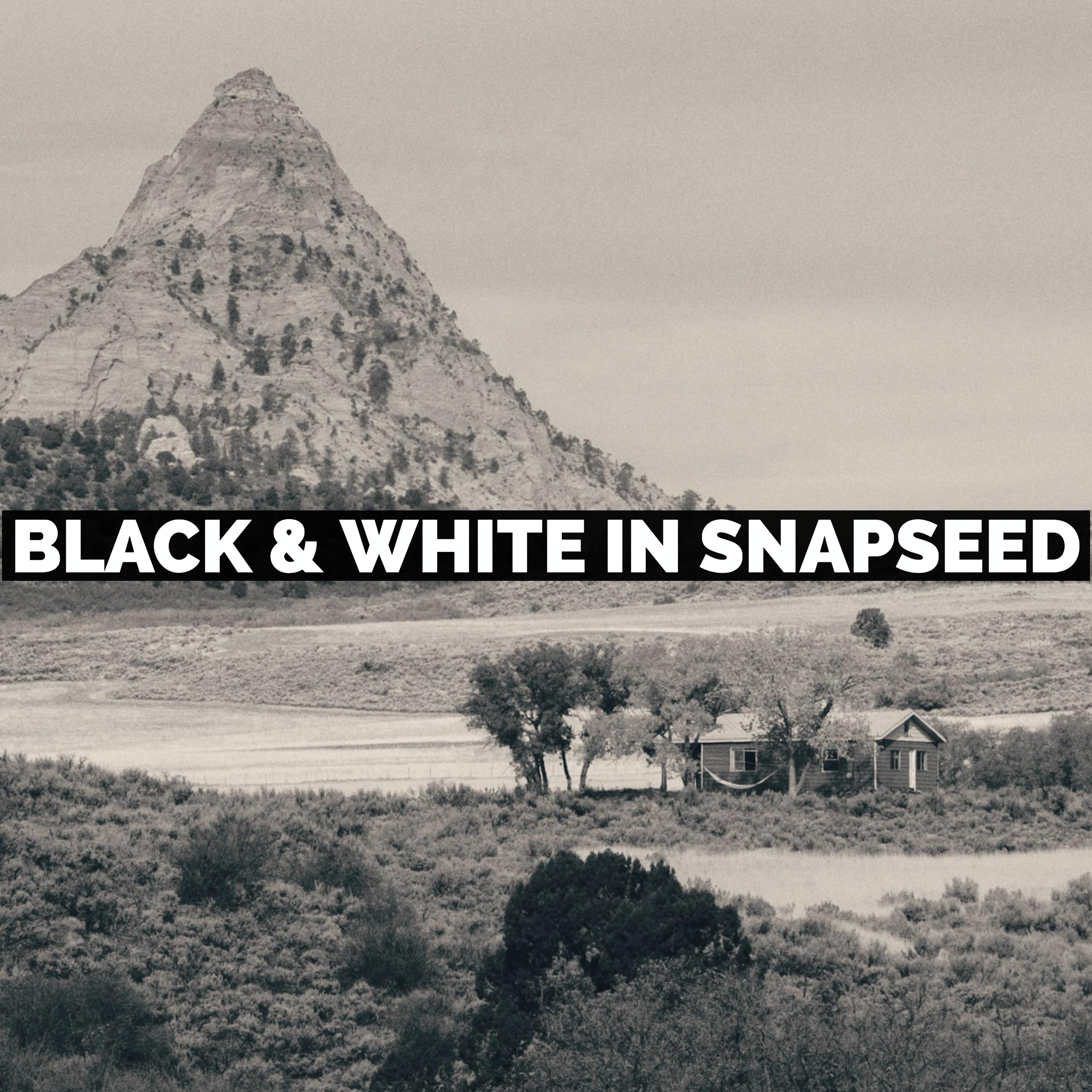 How To Use The Black And White Filter In Snapseed