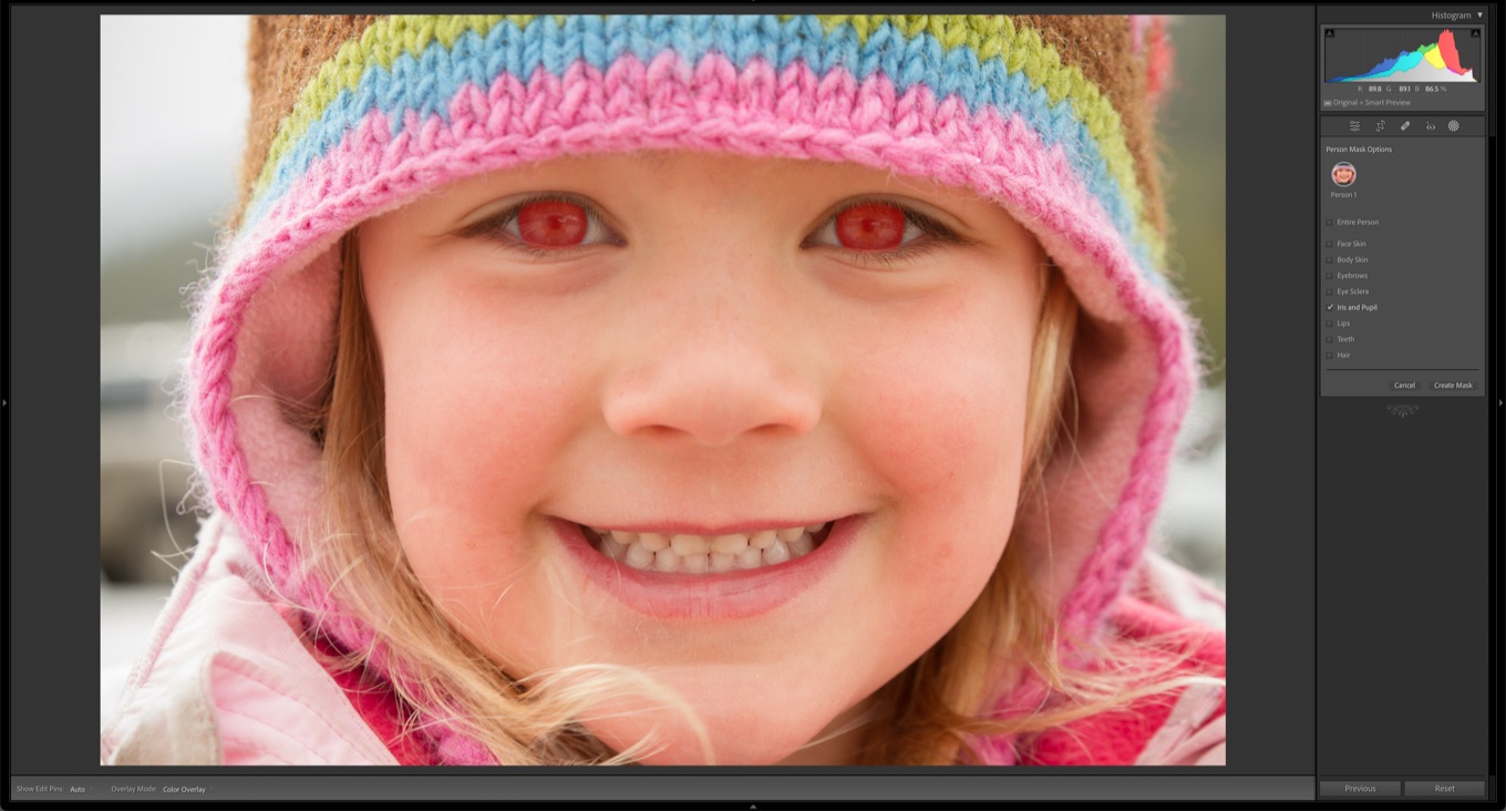 AI Portrait Retouching Masks In Adobe Lightroom Classic