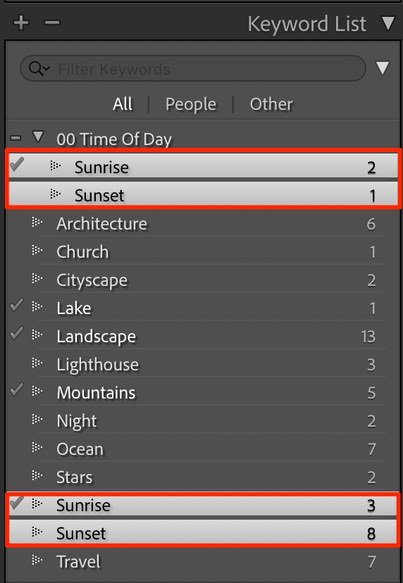How to Remove Duplicate Keywords in Lightroom Classic